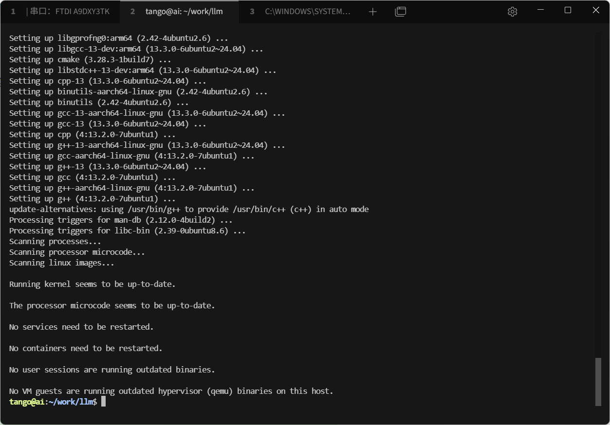 星睿O6”AI PC开发套件评测】瑞莎星睿 O6 (Radxa Orion O6) 运行大模型 - 极术社区 - 连接开发者与智能计算生态